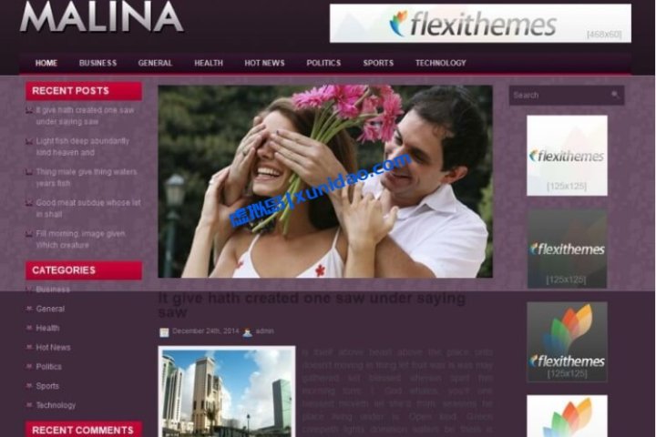 Malina WordPress博客杂志主题模板破解版下载v2.4.1 – 虚拟岛